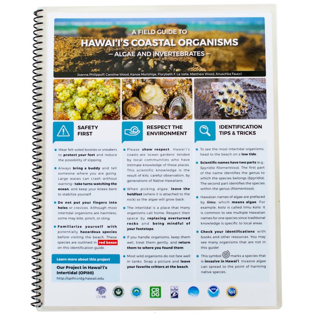 A Field Guide to Hawaii's Coastal Organisms: Algae and Invertebrates ...